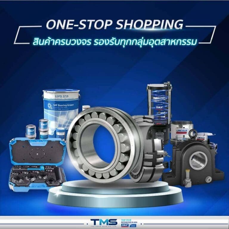 TMMA 100H/SET SKF เครื่องถอดดูดลูกปืนไฮโดรลิค (ยกเซ็ต) - TMS